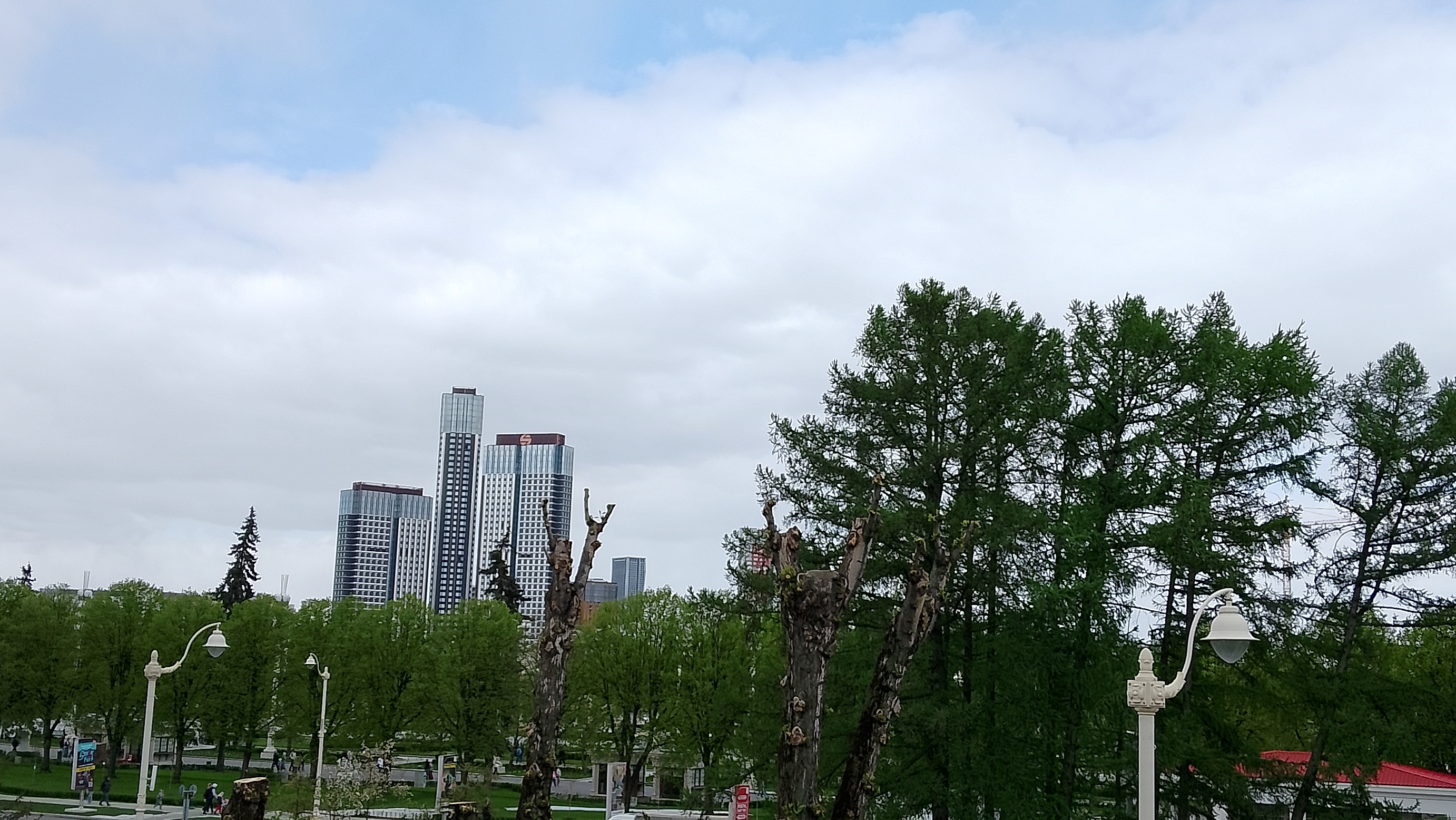 вид с высоты 35 метров