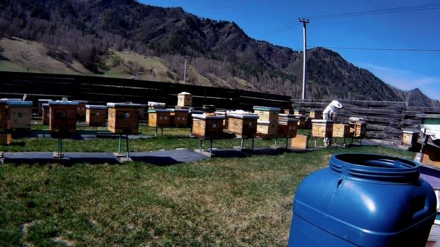 2025_0426_120000_001