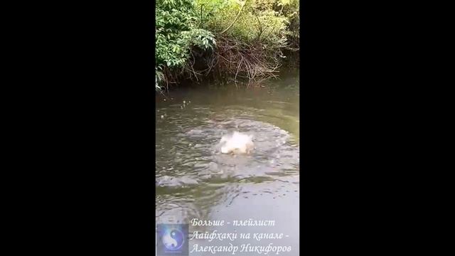 Рыбалка. Если бы так было всегда на рыбалке