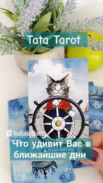 Что удивит Вас в ближайшие дни 🔥 #обряды #талисмантаро #эзотерика #таросила #tarot #таролог