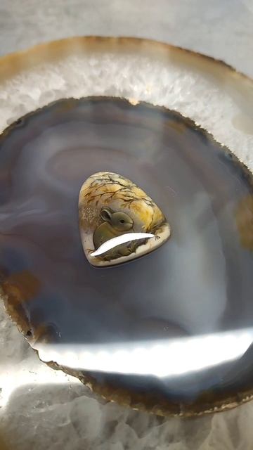 lv_0_20250426172116(0)(0).mp4