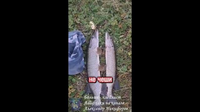 Рыбалка. Меня трясёт от такой удачи