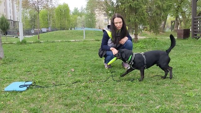 АГТ Толик, Метис Ричард - учатся ловить подброшенный диск