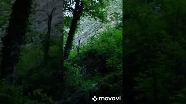 VLOG _Джиппинг на Бжидские водопады_ #VLOG