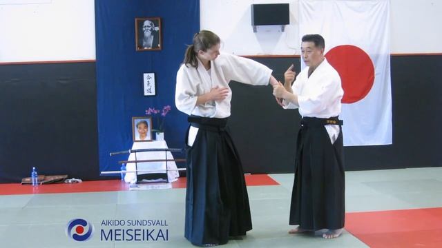 1 Aikido Ai Hanmi Do Barai Sankyo Sundsvall, Shishiya Sensei 2012