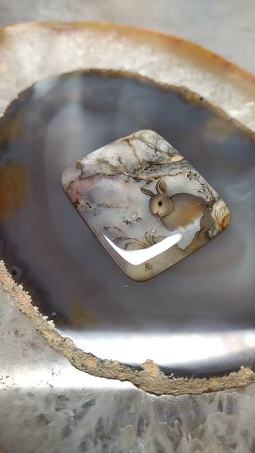 lv_0_20250426165956(0).mp4