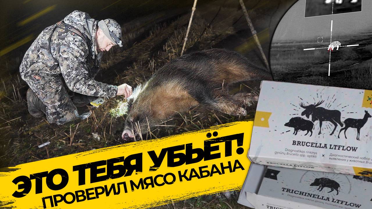 ЭТО может ТЕБЯ УБИТЬ! ЧТО Я НАШЕЛ В МЯСЕ КАБАНА с помощью теста?
