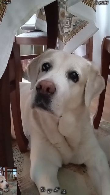 Непонятки 2.0