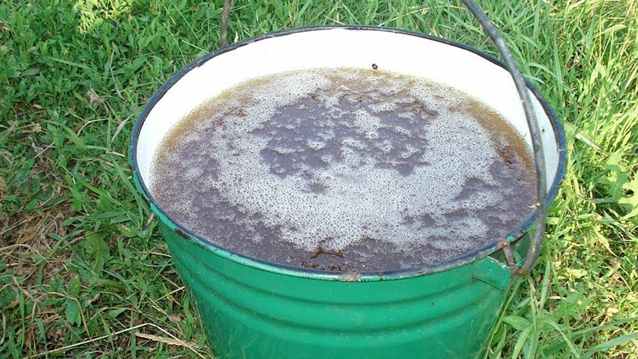 Как избавиться от кустарников За 3 Секунды!..