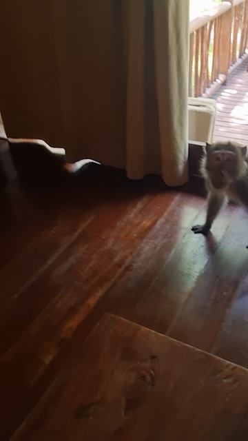 Меня чуть не сожрали -2 часть