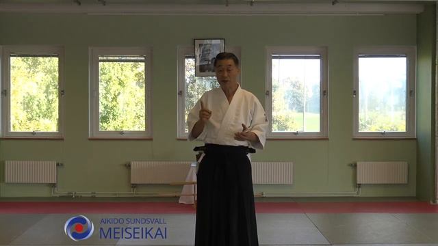 13 Aikido Philosophy ＂The Way People Treat You Is A Mirror Of Yourself＂, Shishiya Sensei, Malmö 2018
