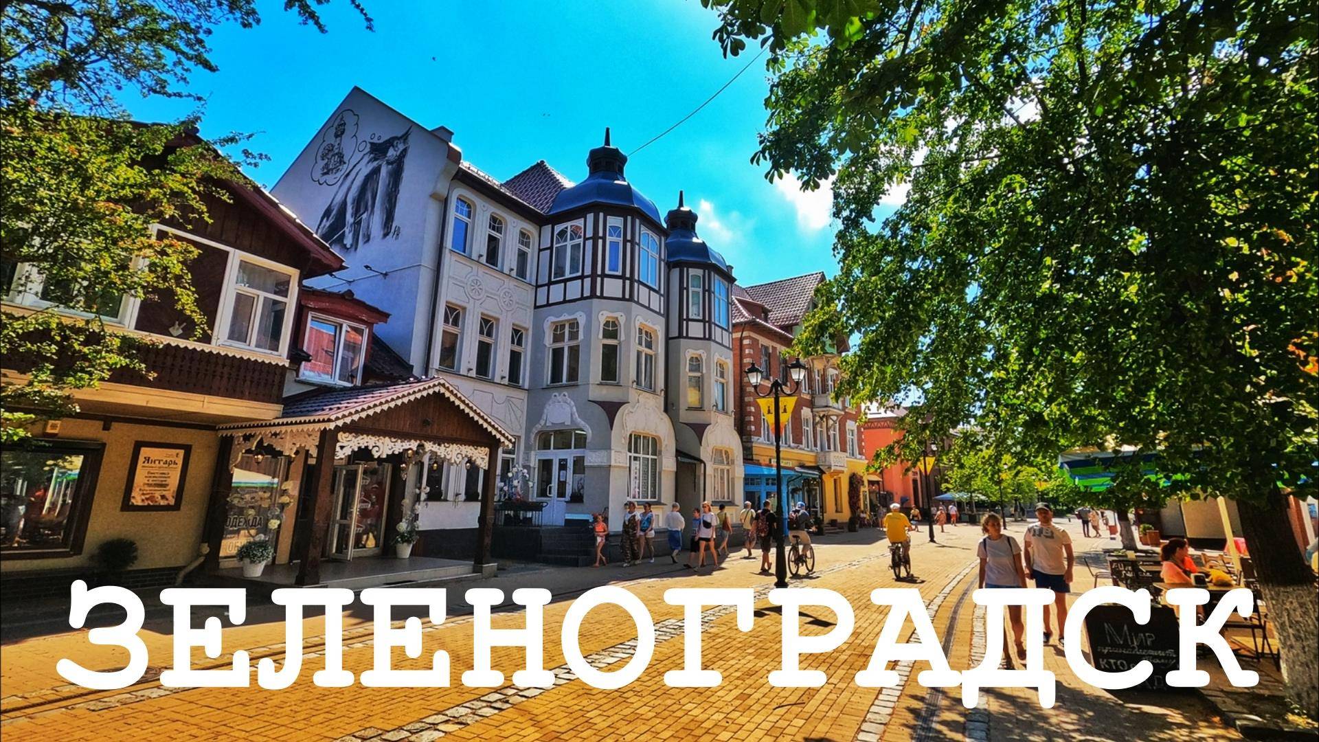 ЗЕЛЕНОГРАДСК - кошачья столица России и город, в котором хочется остаться жить