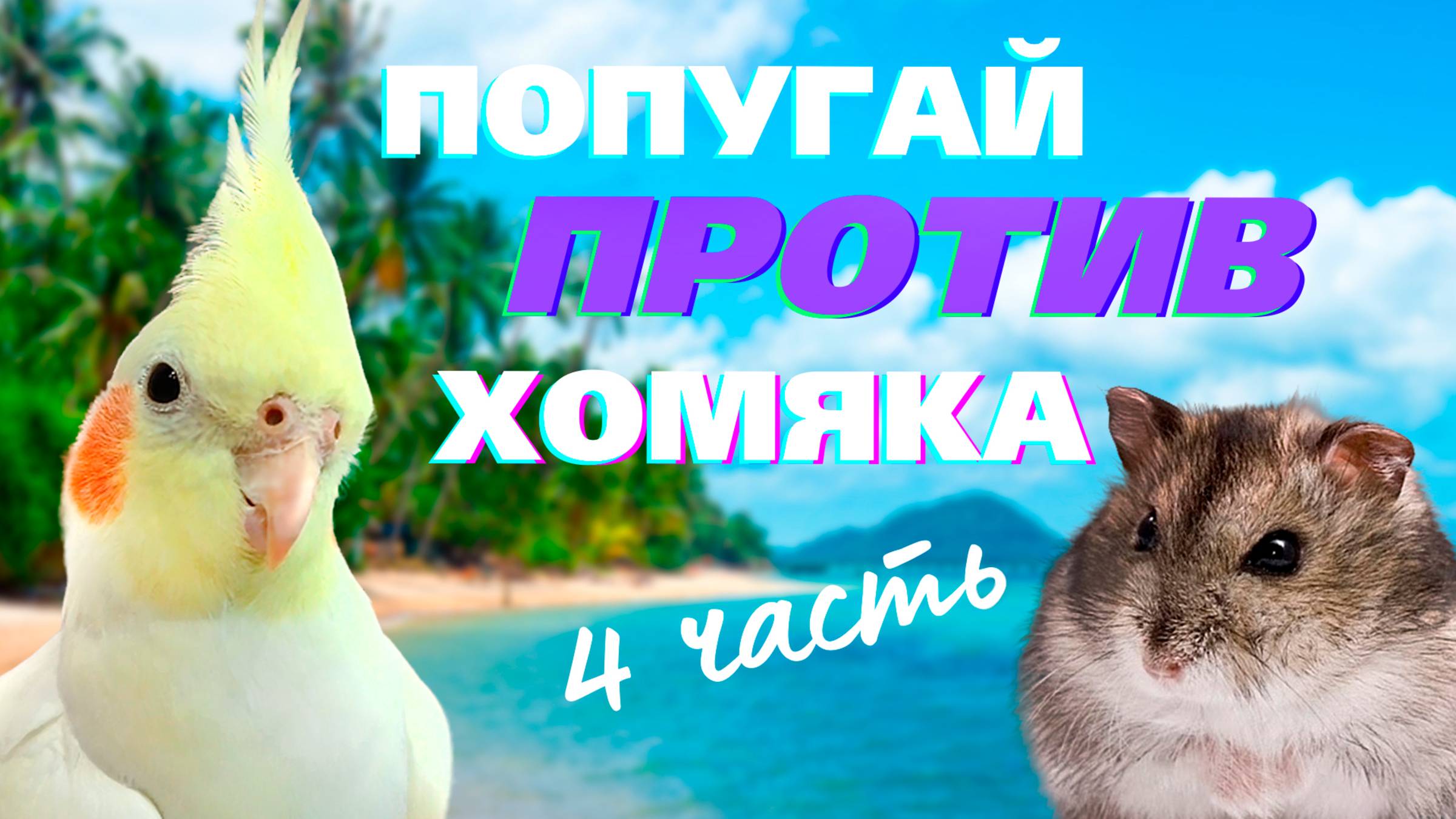 Попугай против хомяка 4 часть