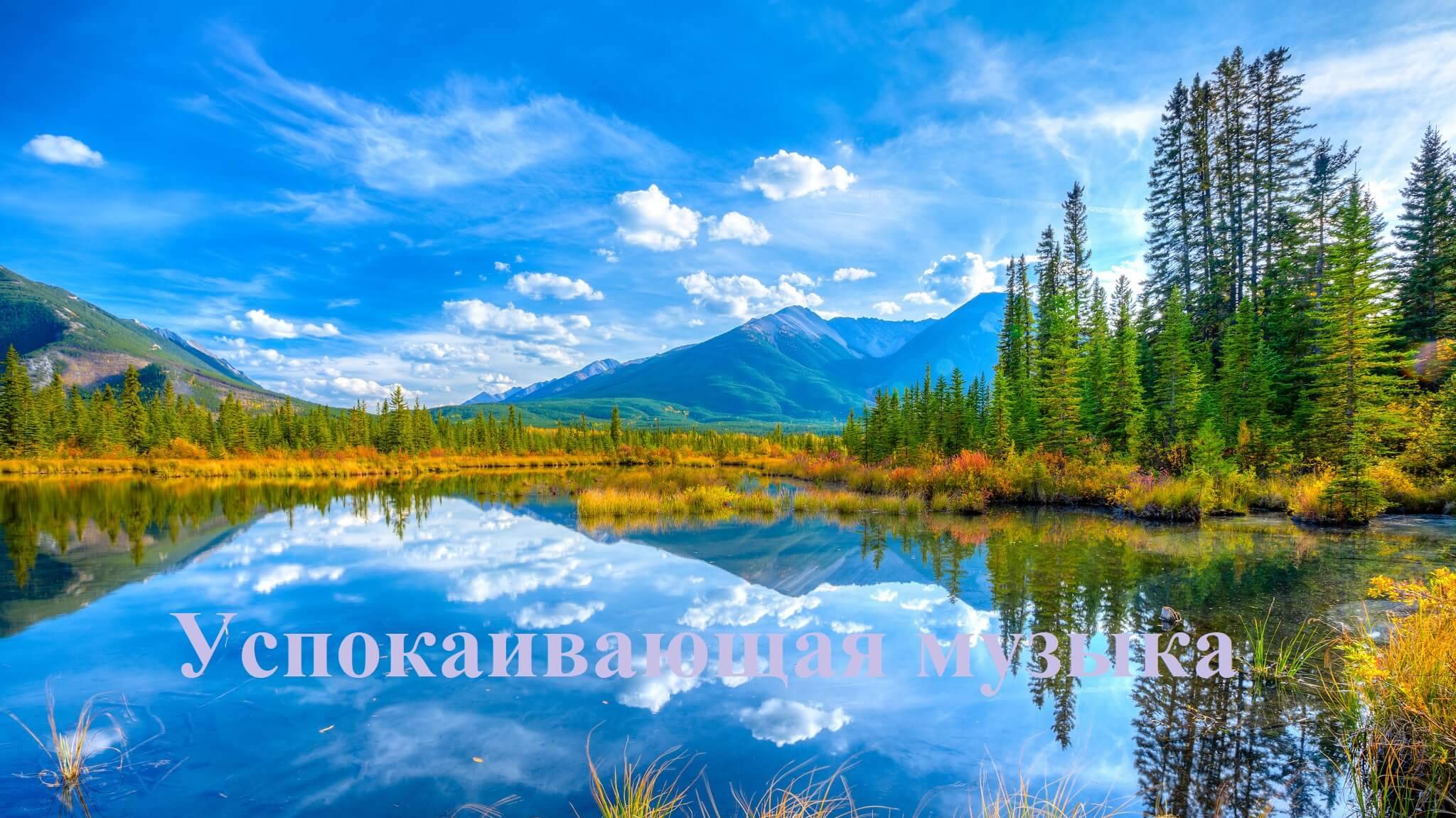 Спокойный сон