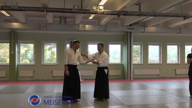 6 Aikido Gyakuhanmi Tai no Tenkan Ho, Shishiya Sensei Malmö 2018