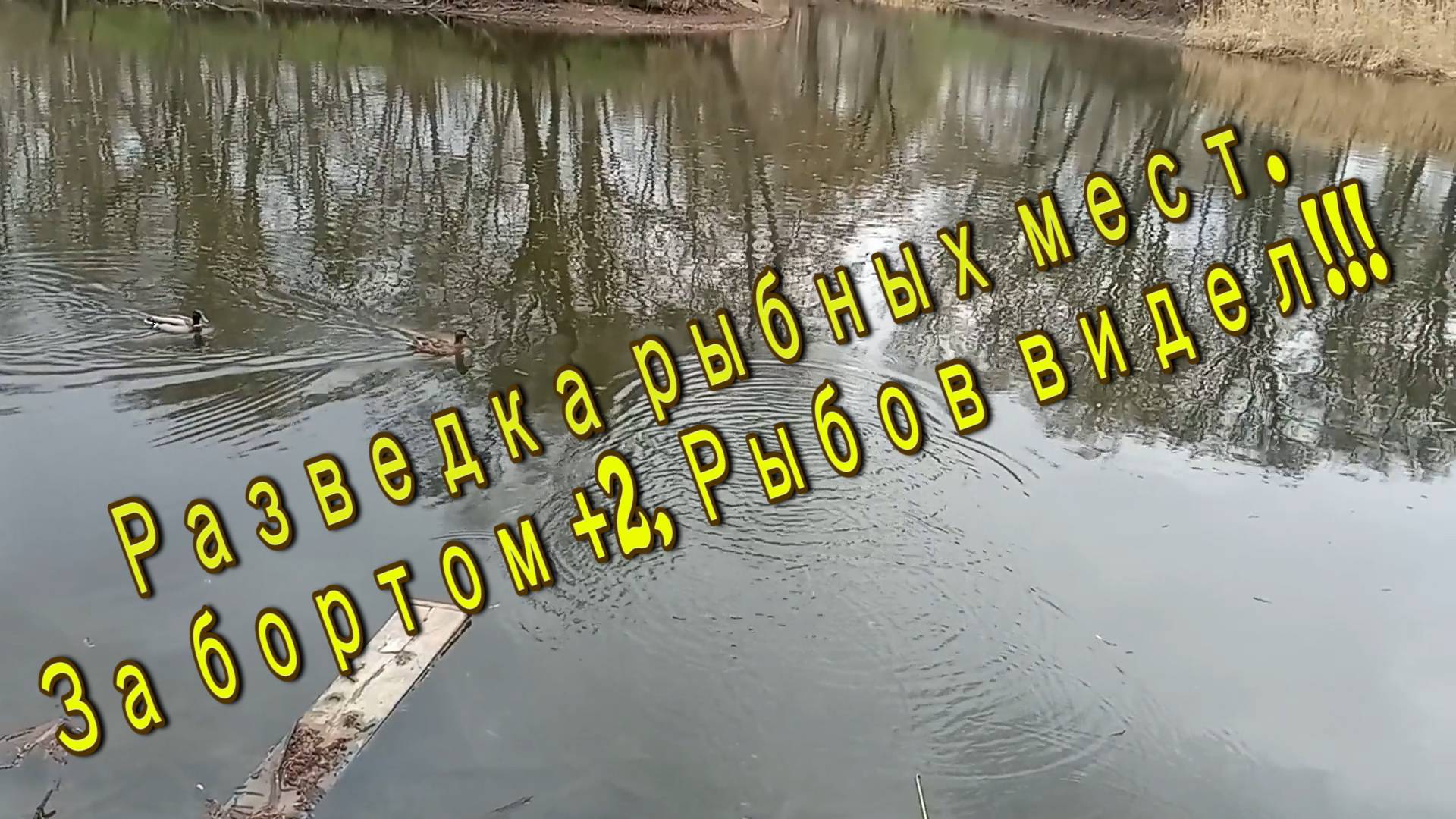 Рыбалка в черте города весной. Разведка новых рыболовных мест. Река Тускарь, Парк Боева Дача