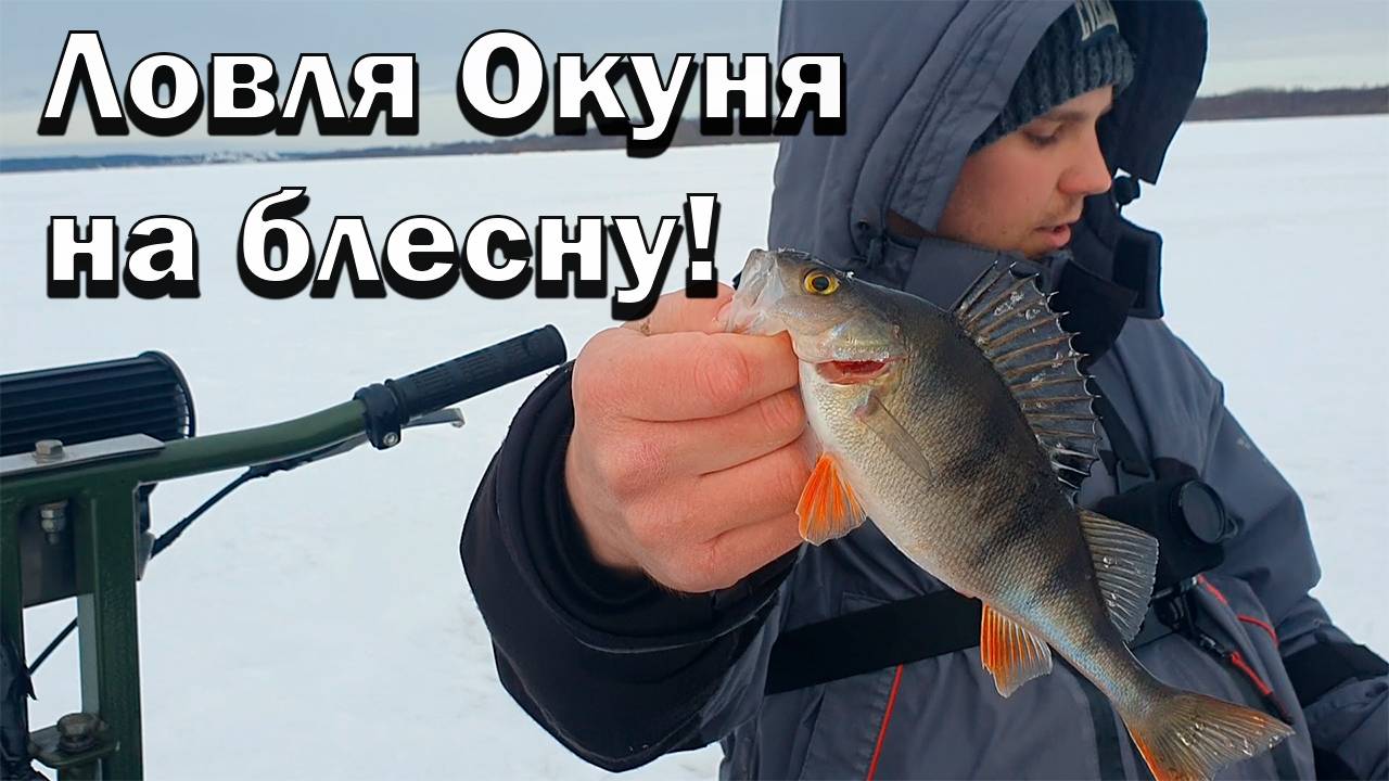 Рыбалка, которая оказалась крайней в этом зимнем сезоне! Разведал озеро и половил окуня на блесны!