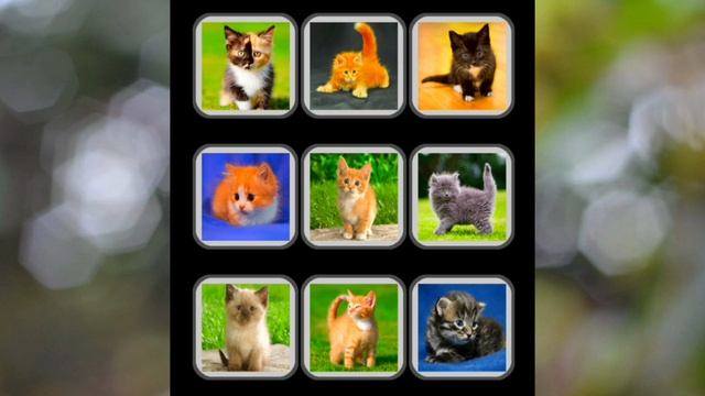 АСМР Мурчание и звуки Котят/ Звуки для расслабления, сна и релаксации/ мяуканье котят