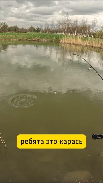 ДОБРЫЕ ПОЖЕЛАНИЯ Другому - ПОМОГУТ и ВАМ! Мгновенная Рыболовная КАРМА! #мормышинг #nanojig #fishing