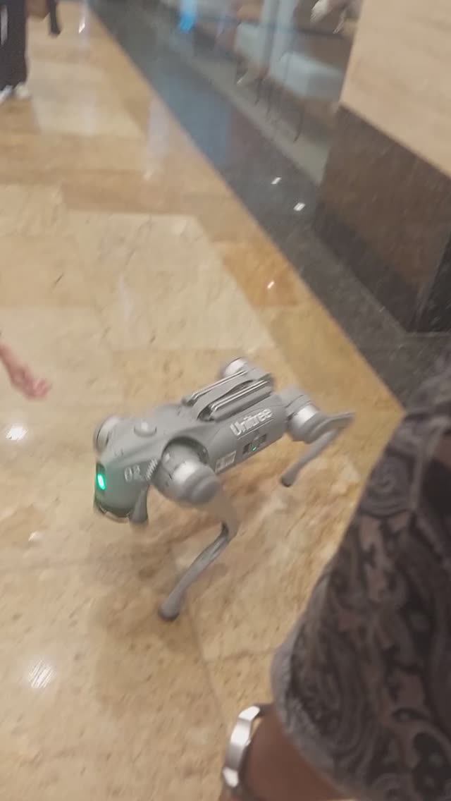 Робот пес бегает по ТЦ Афимол Сити / Москва