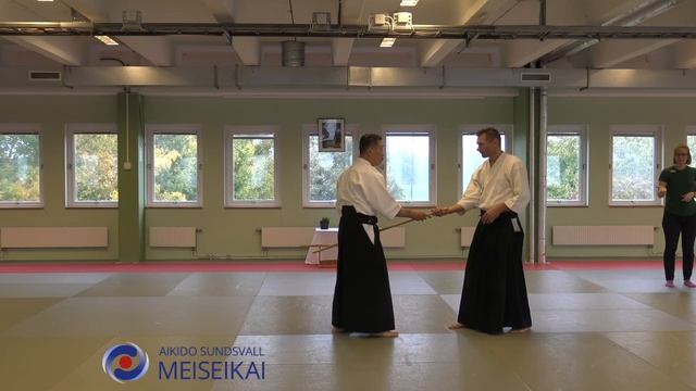 17 Aikido Jo no Tebiki Ikkyo Omote, Shishiya Sensei Malmö 2018