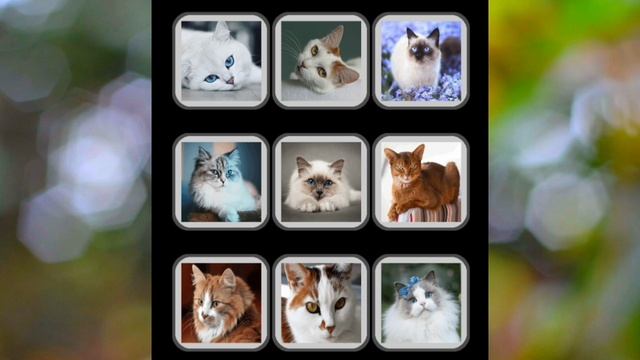 АСМР Мурчание и звуки Кошек/ Звуки для расслабления, сна и релаксации/ мяуканье кошек