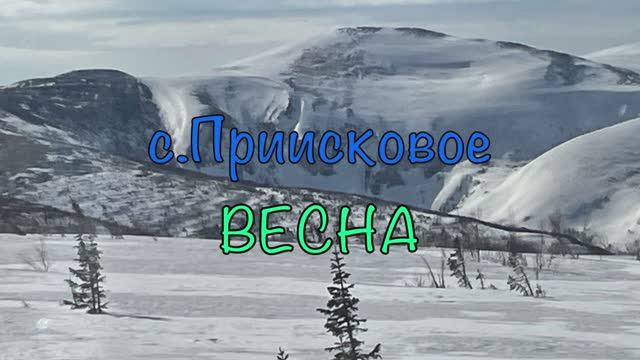 Приисковый.  ВЕСНА 04-2025 - 4 K
