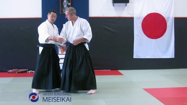5 Aikido Ai Hanmi Do Barai Ikkyo Ura, Shishiya Sensei Sundsvall 2012