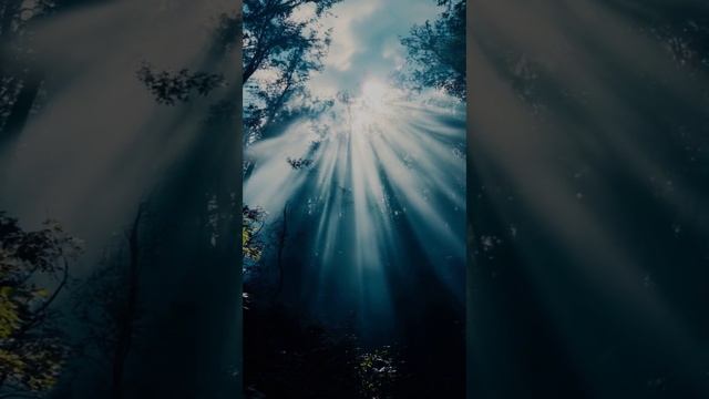 Перерождение