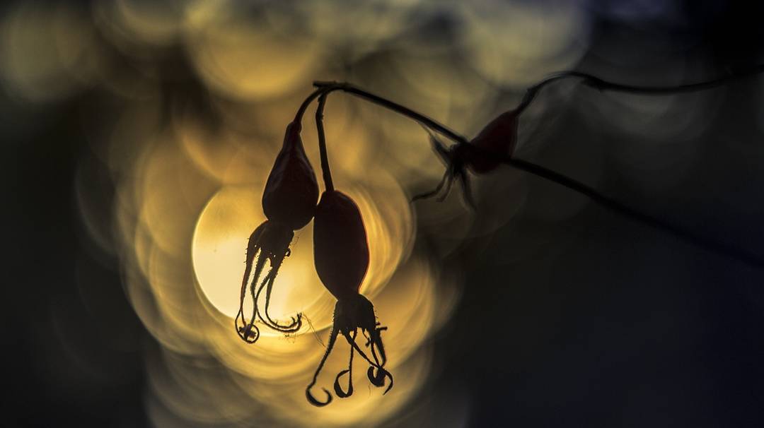 Владимир Швецов - "Мираж"