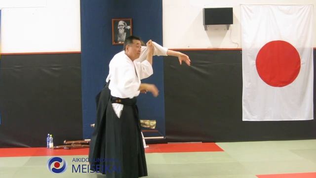 3 Aikido Ai Hanmi Do Barai Kotegaeshi Omote, Shishiya Sensei Sundsvall 2012