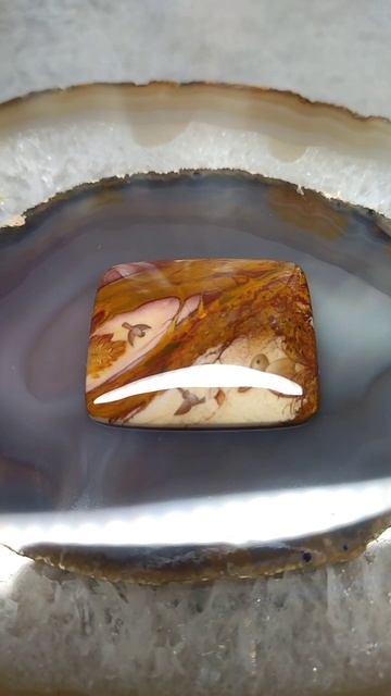 lv_0_20250426170933(0).mp4