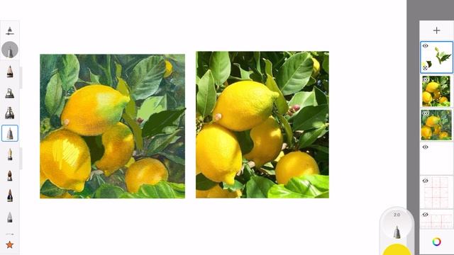 Эвелина разбор с лимонами