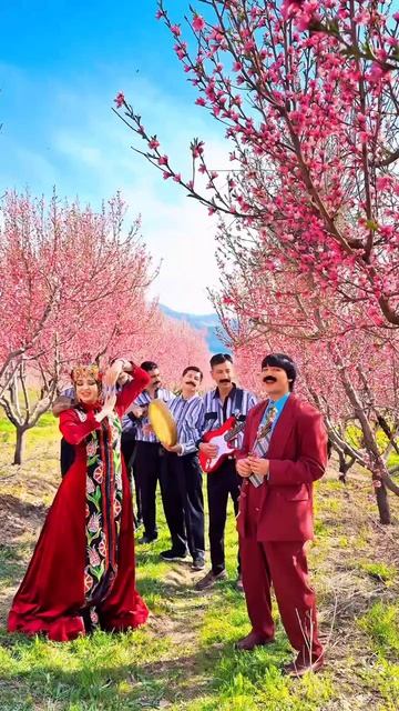 Sog'insang tez kunda