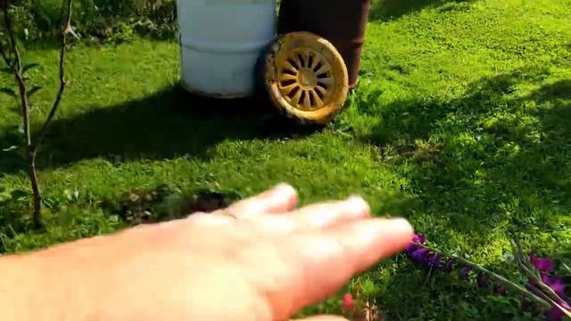 Мой цветущий садовый участок часть (22)