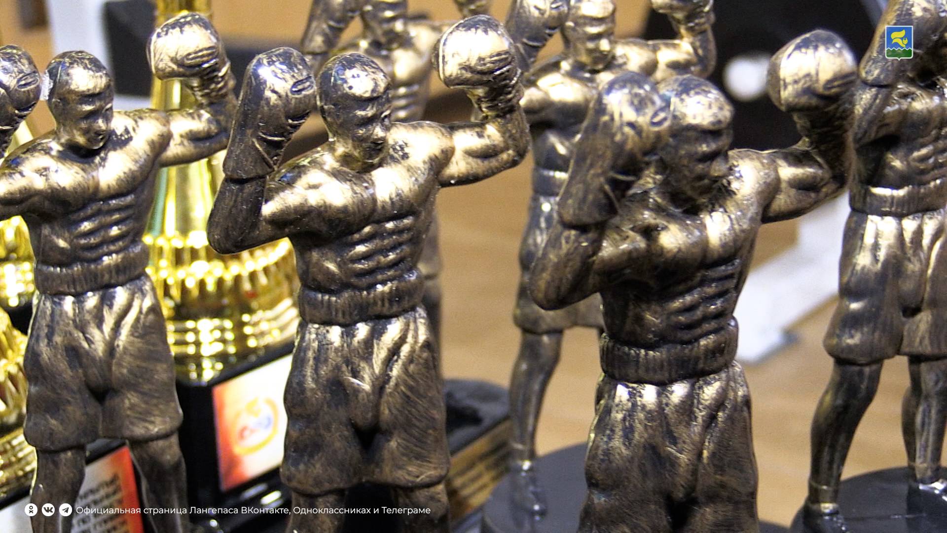 Кубок главы города Лангепаса по боксу - 2025