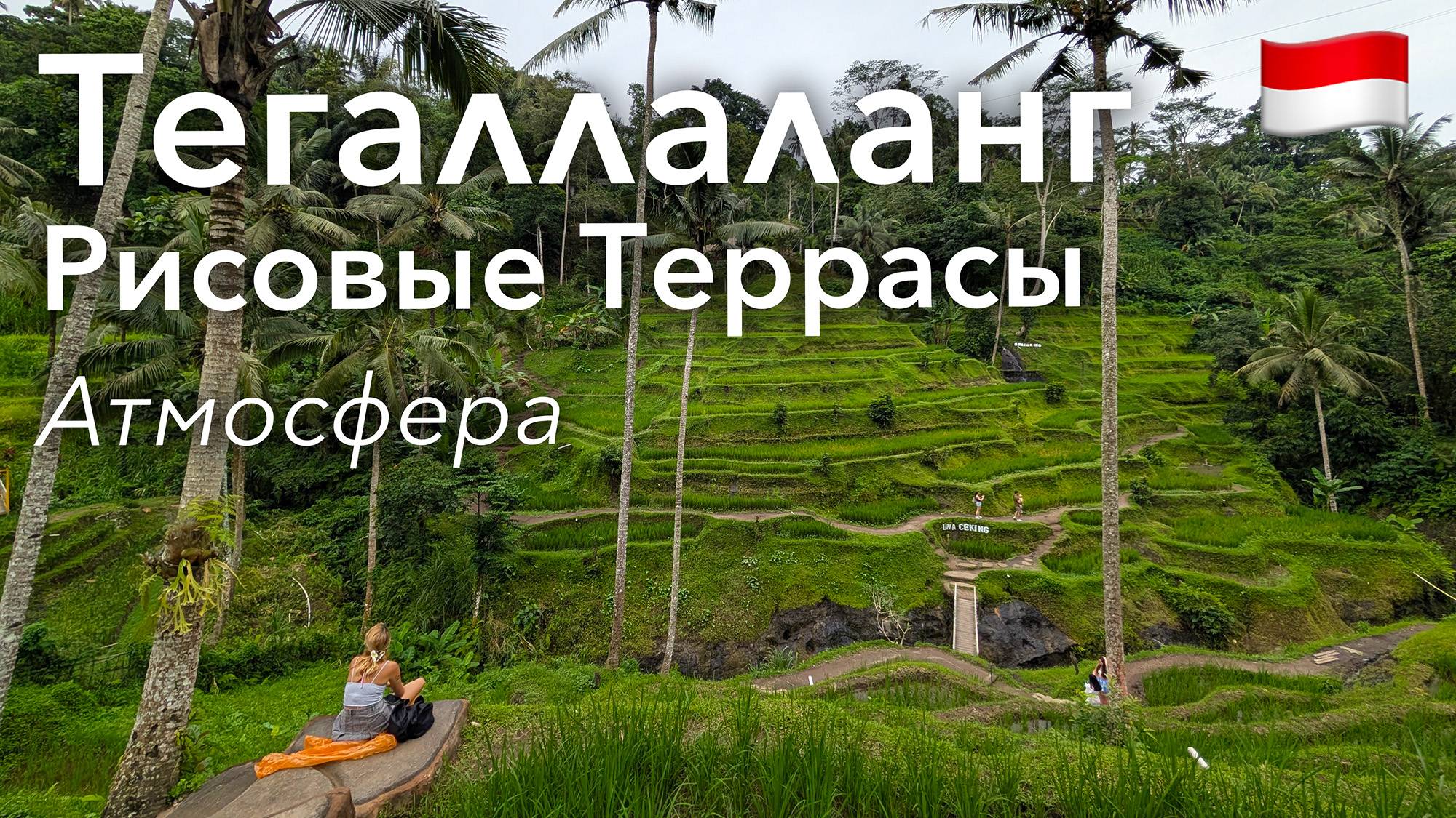 🇮🇩 Рисовые Террасы Тегаллаланг в 4K: Атмосфера и Виды | Бали, Индонезия
