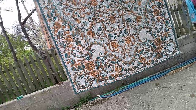 Скворцы громко совещаются