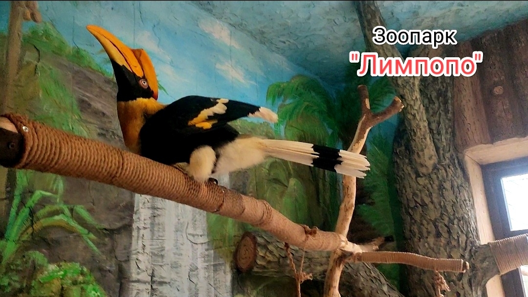 Нижегородский зоопарк "Лимпопо". Часть 2