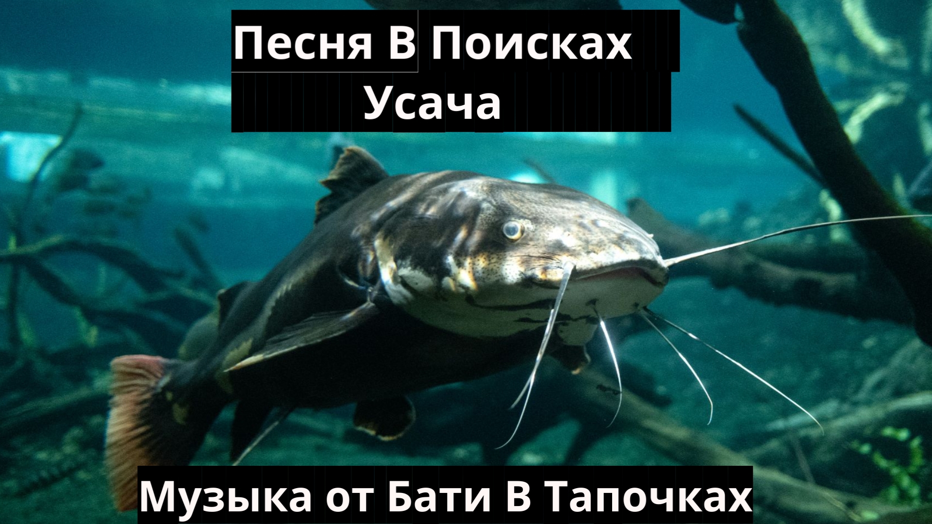 В Поисках Усача (Смешная песня) (Suno Ai)