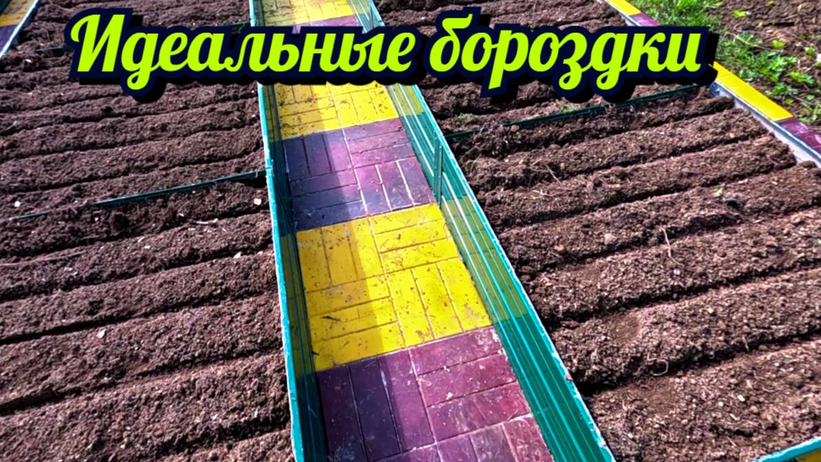 Как делать идеальные бороздки на грядках для посева