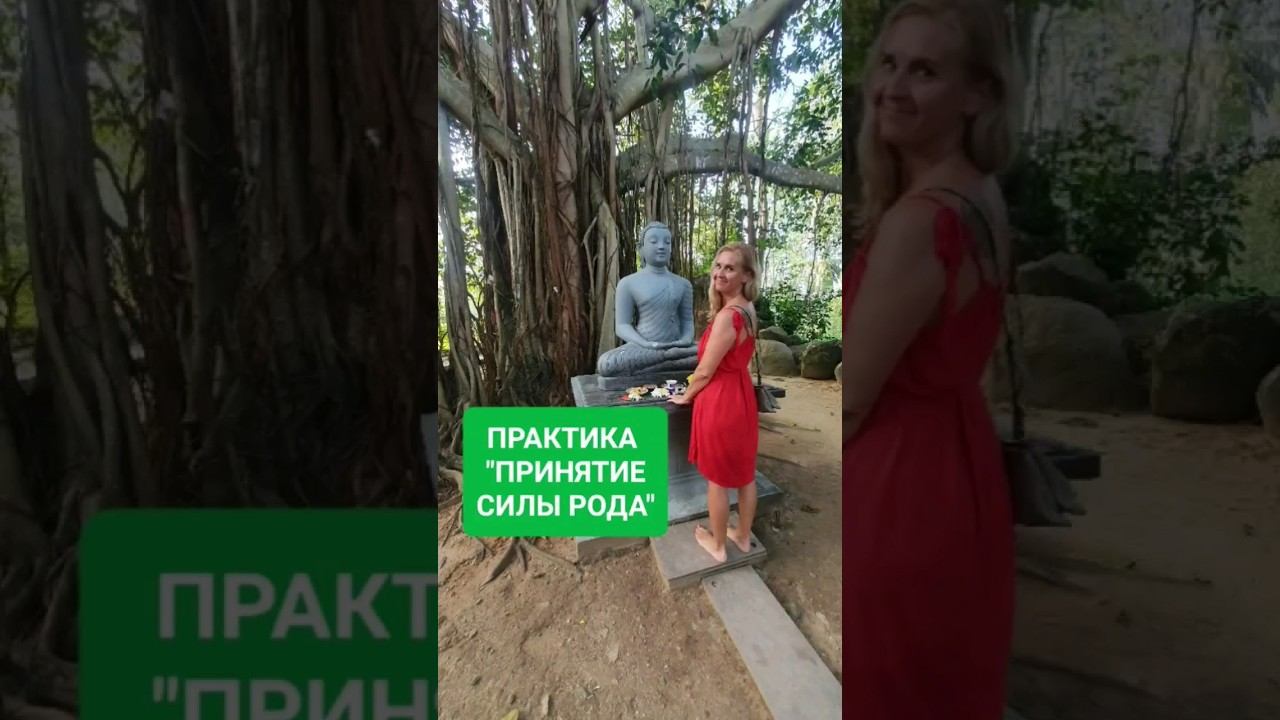 Практика "ПРИНЯТИЕ СИЛЫ РОДА" #психосоматика #расстановки #силарода #силапредков