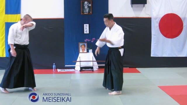 9 Aikido Ai Hanmi Do Barai Exercise (Iriminage), Shishiya Sensei Sundsvall 2012