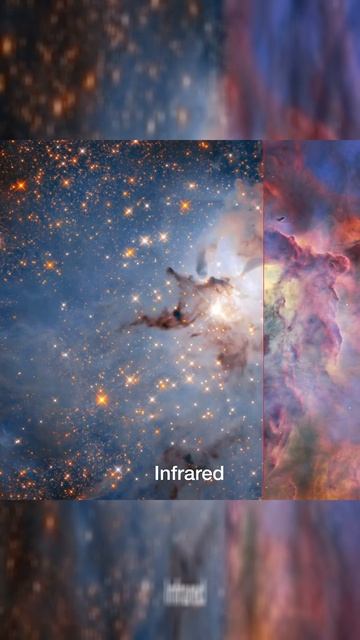 Телескоп за $10 миллиардов увидит пчелу с Луны