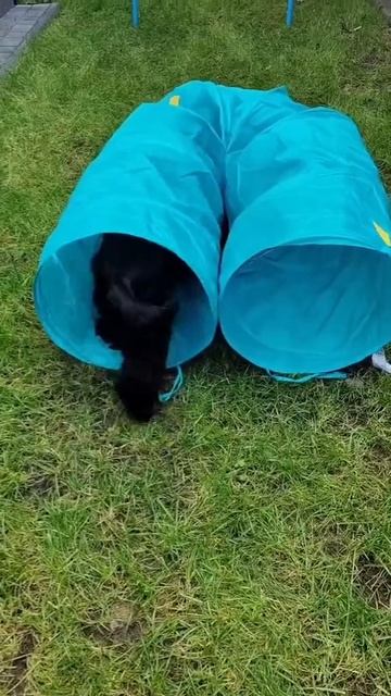 Новые трюки