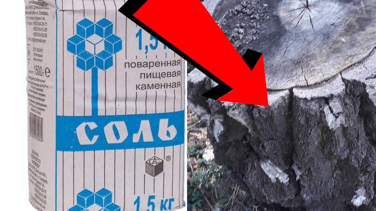 Убрать пень с участка можно за 3 минуты