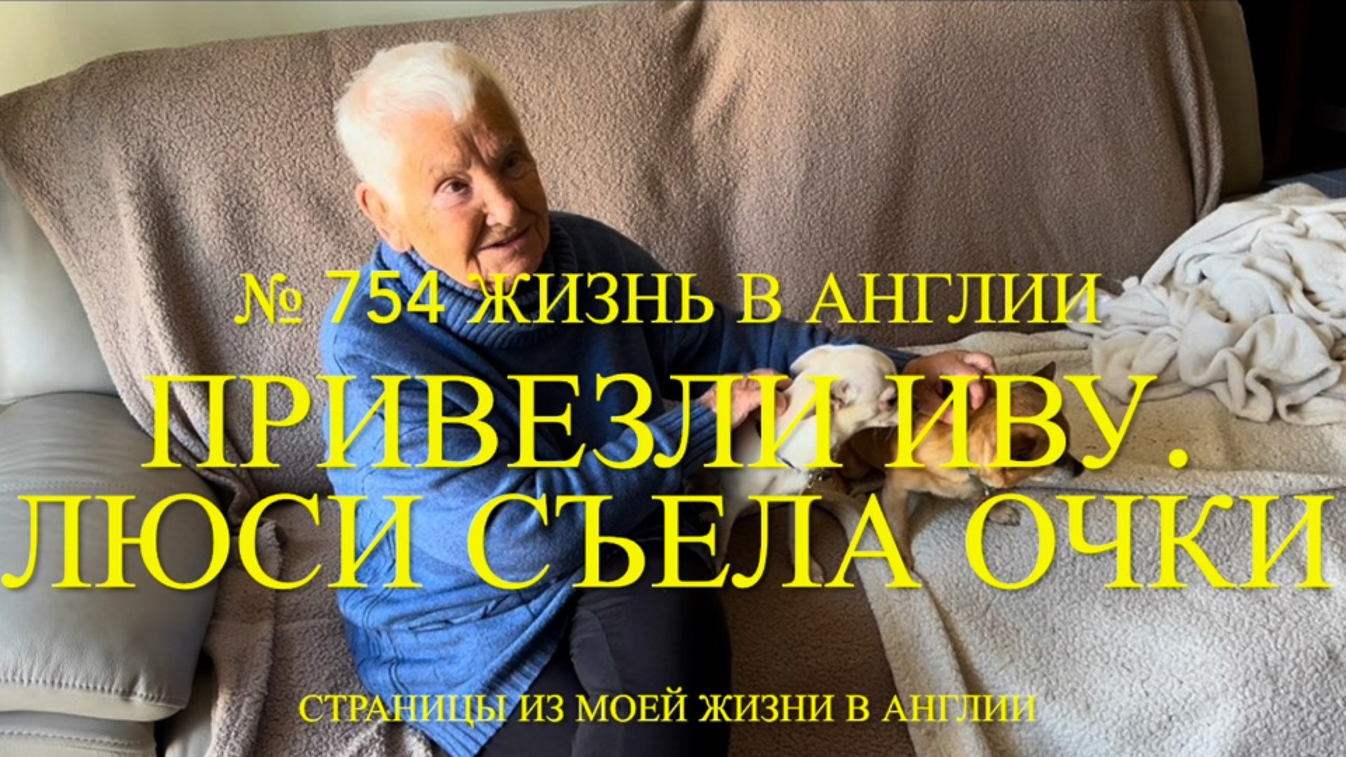 Привезли Иву к нам на обед. Люси съела очки Пола. Распаковка шоппинга.  № 754 Жизнь в Англии