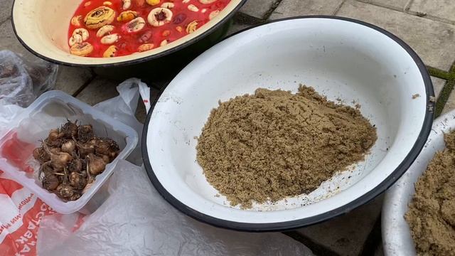 Заморозки прошли, перевожу рассаду в теплицу