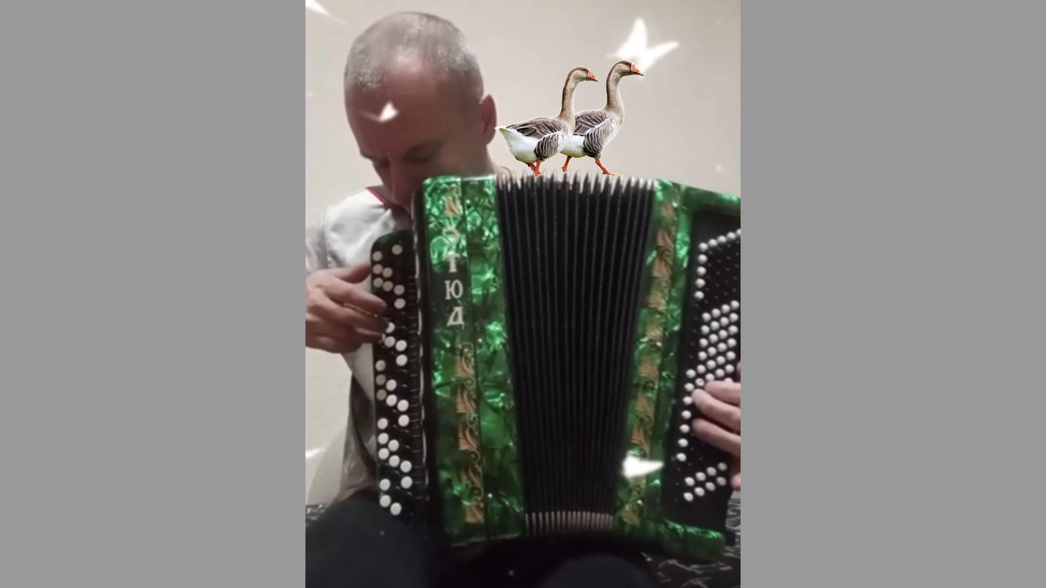 3 в 1: Два гуся с Васильком Под горкой под горой  3 in 1: Two Geese with Cornflower Under the Hill