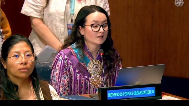 Саамская молодежь. Постоянный Форум ООН по вопросам коренных 2025